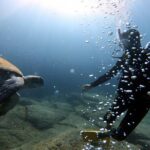 Discover Scuba Diving Experience in Turtle Habitat - Who Should Consider This Experience?