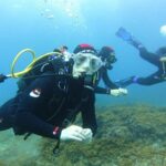 Discover Scuba Diving, free pictures included - The Sum Up