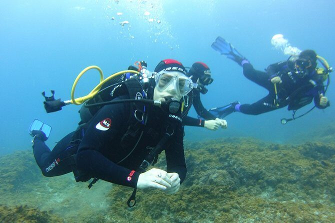 Discover Scuba Diving, free pictures included - The Sum Up
