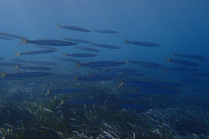 Discover Scuba Diving in Santorini - Why This Experience Works Well for Travelers