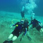 Discover Scuba Diving in Waikiki - Who Would Love This Tour?