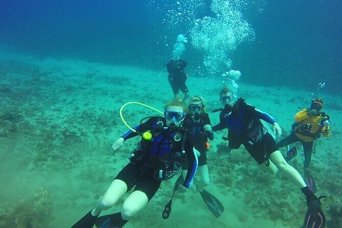 Discover Scuba Diving in Waikiki - Who Would Love This Tour?