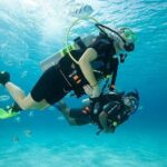 Discover Scuba Diving with two dives in the Ocean in Tenerife with Transfers - Discover Scuba Diving in Tenerife: An Honest Review of the Two-Dive Ocean Experience