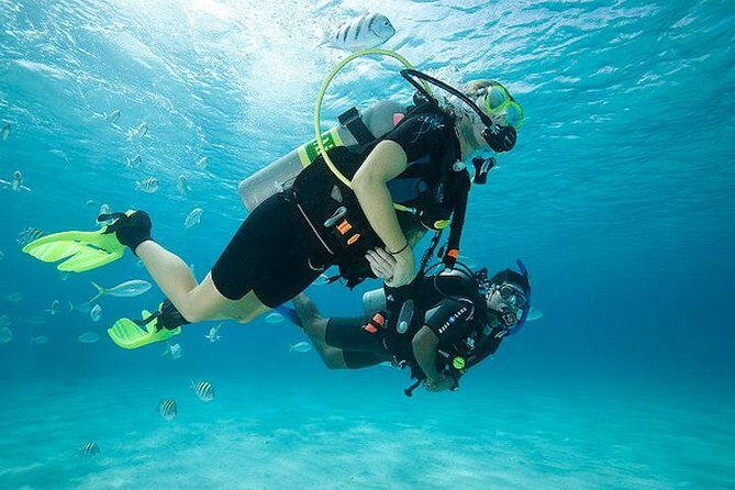 Discover Scuba Diving with two dives in the Ocean in Tenerife with Transfers - Discover Scuba Diving in Tenerife: An Honest Review of the Two-Dive Ocean Experience