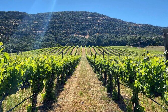 Discover Sonoma's Natural Wineries in Small-Group Tour - What Makes This Tour Special