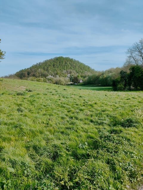 Discover the Liège nature on Trail / hiking-running - An In-Depth Look at the Trail Running Experience