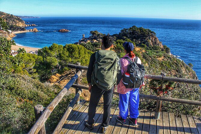 Discovering Costa Brava: Beaches, Hiking, and Swimming - What Makes This Tour Standout?