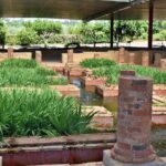 Discovering the Roman Ruins of Conímbriga and the Caves of Sicó - Deep Dive into the Itinerary