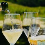 Discovery of a Champagne from Vintner, from the cellar to the tasting - The Tasting: Sipping with a Story