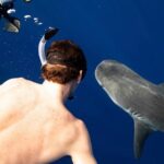 Dive with sharks in Oahu Hawaii: Educational Tour (No cage) - What to Expect From the Experience
