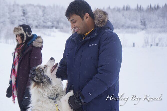 Dog Sled Adventure - Final Thoughts: Who Will Love This Tour?