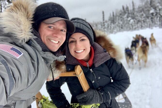 Dog Sledding Adventure in Willow, Alaska - The Value of the Experience