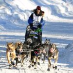 Dog Sledding with Alaskan Huskies - Who Will Love This Tour?