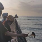 Dole,Garlic Shrimp, Northshore Customizable Group Priced Tour - The Value of a Private, Customizable Tour