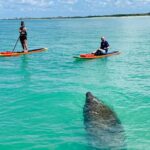 Dolphin and Manatee Adventure Tour of Fort Myers - A Typical Itinerary