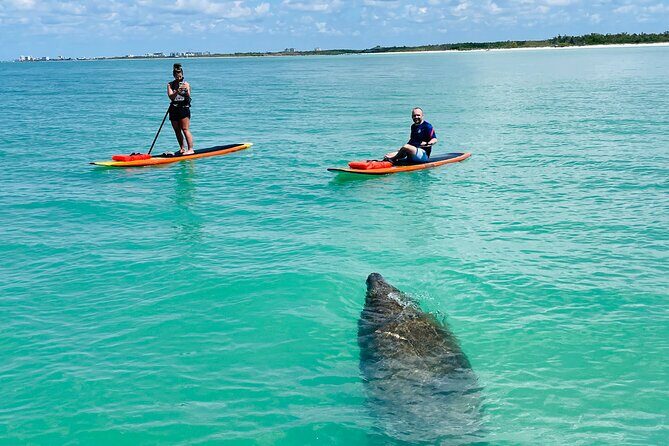 Dolphin and Manatee Adventure Tour of Fort Myers - A Typical Itinerary