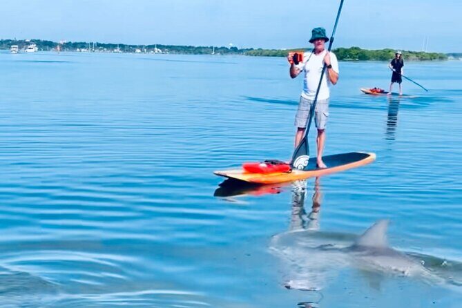 Dolphin and Manatee Kayak and SUP Adventure Tour of Cocoa Beach - The Equipment & Comfort