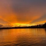 Dolphin and Nature Sunset Cruise from Orange Beach - Who Will Love This Cruise?