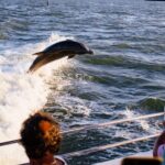 Dolphin and Shelling Cruise Tour at Fort Myers Beach - Who Will Love This Tour?