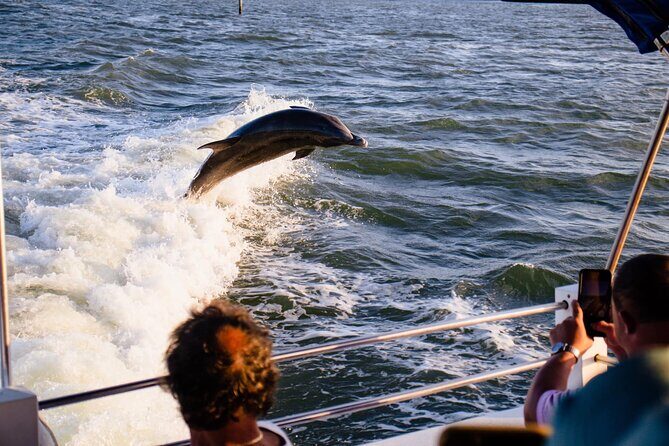Dolphin and Shelling Cruise Tour at Fort Myers Beach - Who Will Love This Tour?