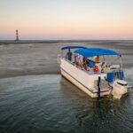 Dolphin Boat Tour from Folly Beach to Morris Island - What Sets This Tour Apart?