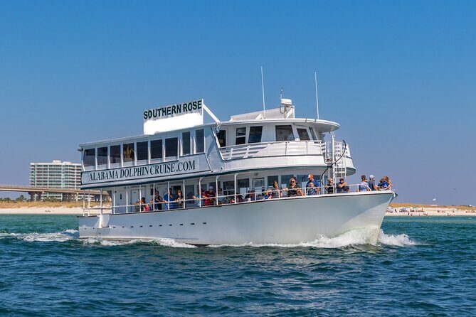 Dolphin Cruise in Orange Beach Alabama - Why Its a Great Choice