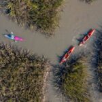 Dolphin Kayak Tour on Folly Beach - The Paddle & Wildlife Sightings