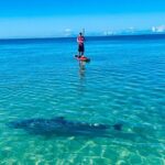 Dolphin, Manatee and Sea Turtle Adventure Tour of Bonita Springs - Understanding the Value