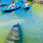 Dolphin, Manatee and Sea Turtle Kayak Adventure - Final Thoughts