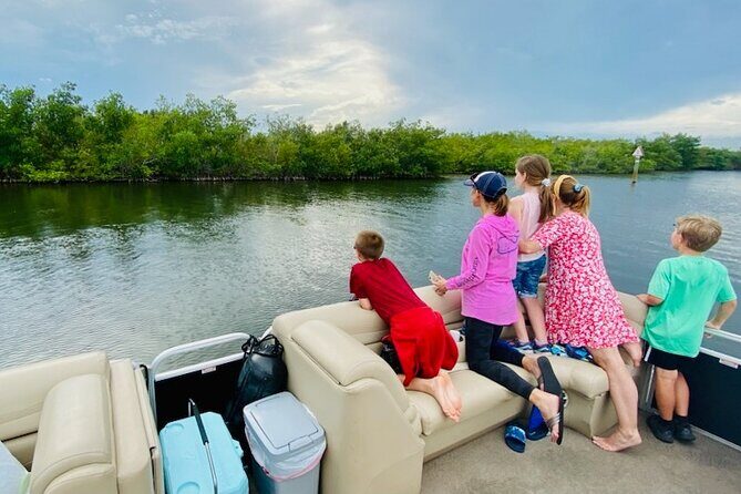 Dolphin/Manatee Pontoon Boat Tour with Local Expert - Who Should Consider This Tour?