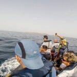 Dolphin Route - Who Should Consider This Tour?