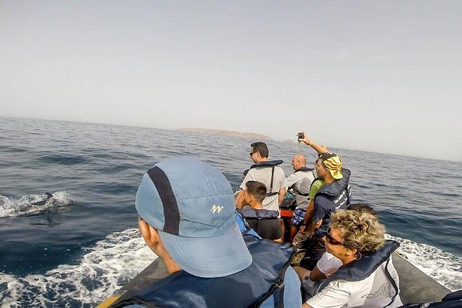 Dolphin Route - Who Should Consider This Tour?