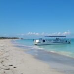 Dolphin /Shelling/Snorkeling tours Private Charters - Pricing and Value