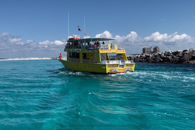 Dolphin & Sunset Cruises - What’s the Experience Like?