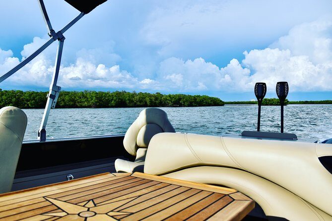 Dolphin Tiki Cruise around Fort Myers Beach - Why Choose This Tour?