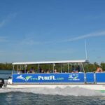 Dolphin Watch/Eco Cruise - What’s Included and What to Consider