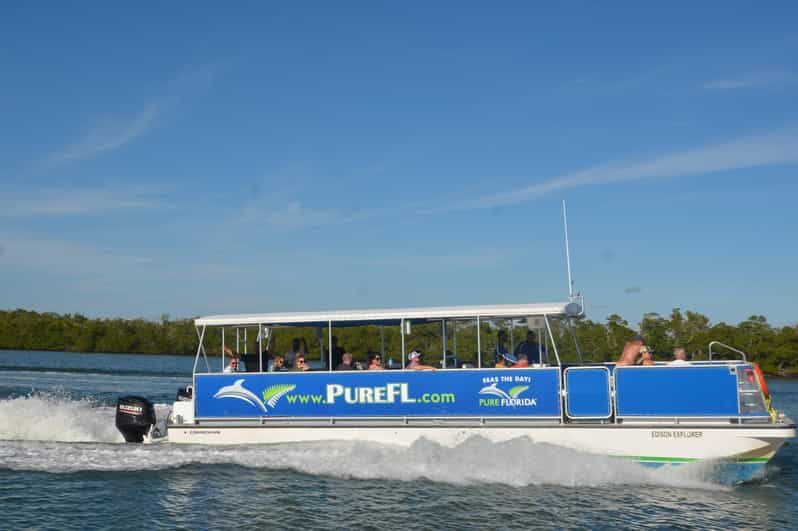Dolphin Watch/Eco Cruise - What’s Included and What to Consider
