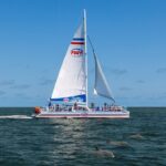 Dolphin Watch & Harbor Tour in Historical St. Augustine - What to Expect from the Itinerary
