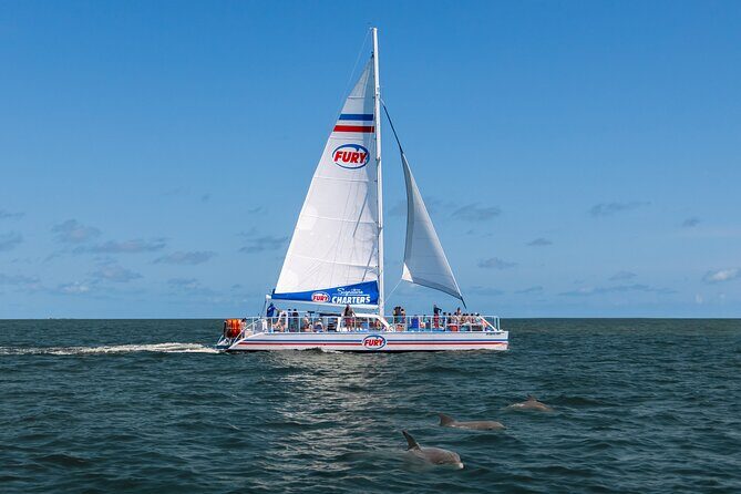 Dolphin Watch & Harbor Tour in Historical St. Augustine - What to Expect from the Itinerary