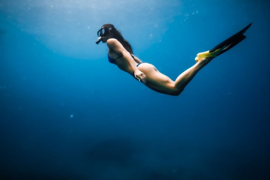 Dolphin Watch Snorkel and BBQ in Kona, Big Island - Detailed Breakdown of the Itinerary