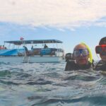 Dolphin Watching and Snorkeling Adventure in Key West - The Sum Up