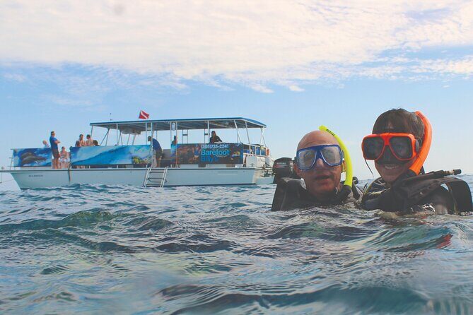 Dolphin Watching and Snorkeling Adventure in Key West - The Sum Up