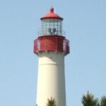 Dolphin Watching around Cape May - Water Views and Photo Opportunities