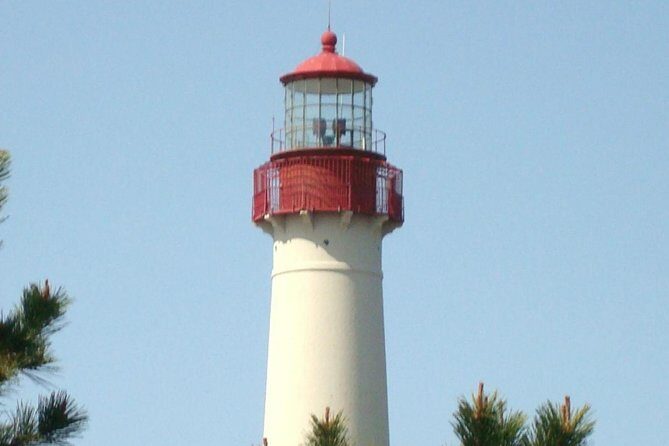 Dolphin Watching around Cape May - Water Views and Photo Opportunities