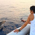 Dolphin Watching & Conservation - Dolphins in the Gulf of Catania - Key Points