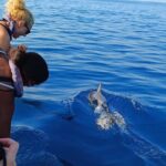 Dolphin Watching from Faro - Who Will Enjoy This Tour?
