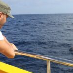 Dolphin Watching Mini Cruise and Snorkeling from Lanzarote - A Closer Look at the Experience