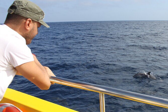Dolphin Watching Mini Cruise and Snorkeling from Lanzarote - A Closer Look at the Experience
