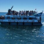 Dolphin watching on a Catamaran in Fuengirola - Is It Worth the Price?