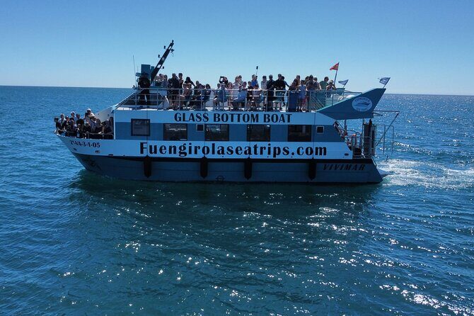 Dolphin watching on a Catamaran in Fuengirola - Is It Worth the Price?